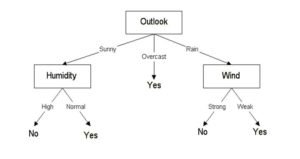 Decision Tree Advantages and Disadvantages - SolutionWeb